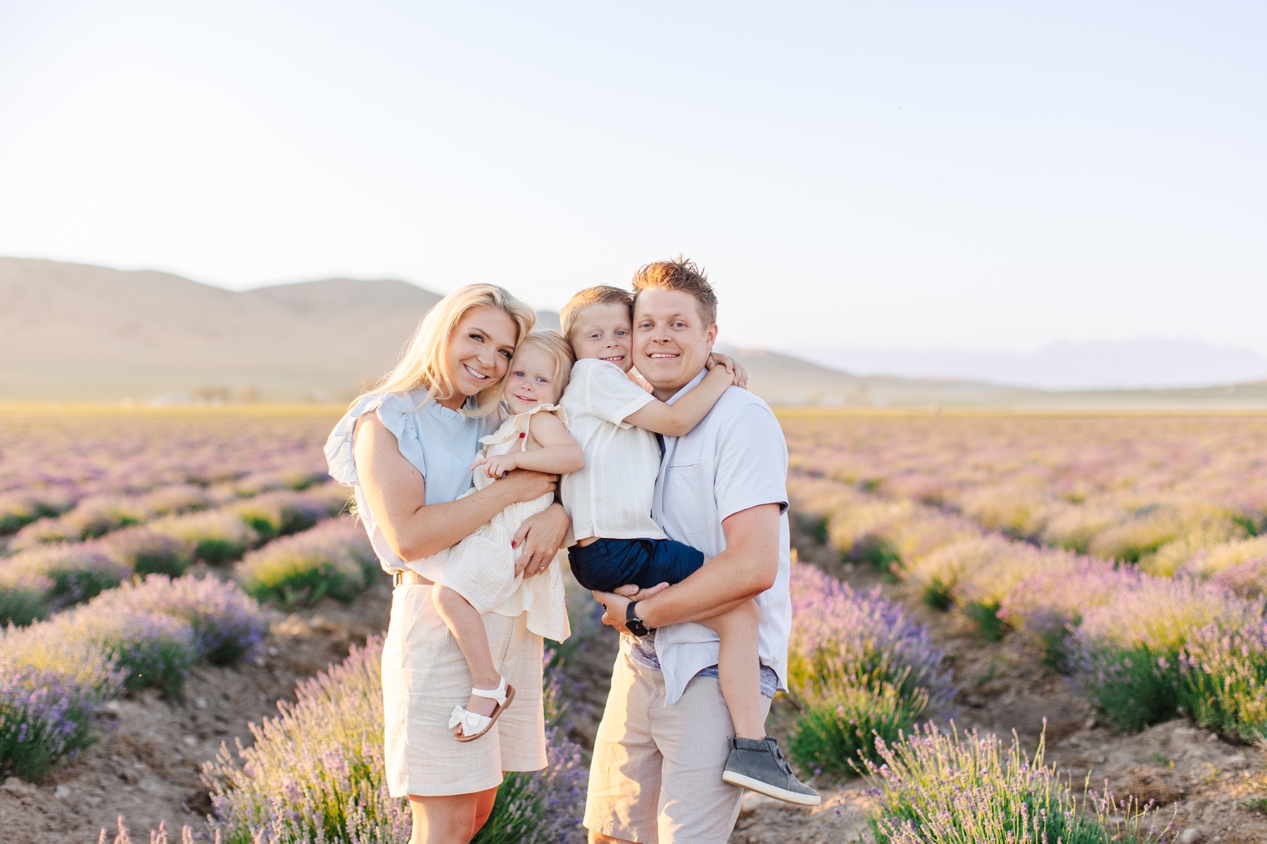 When do the Lavender Fields Bloom in Utah? - Mary Horne Nelson