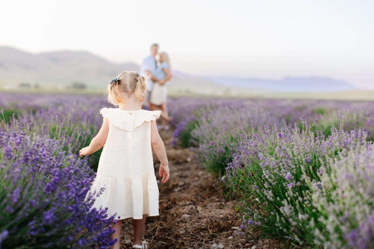 When do the Lavender Fields Bloom in Utah? - Mary Horne Nelson