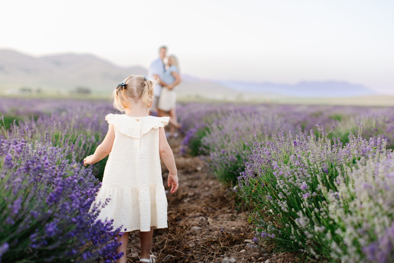 When do the Lavender Fields Bloom in Utah? - Mary Horne Nelson