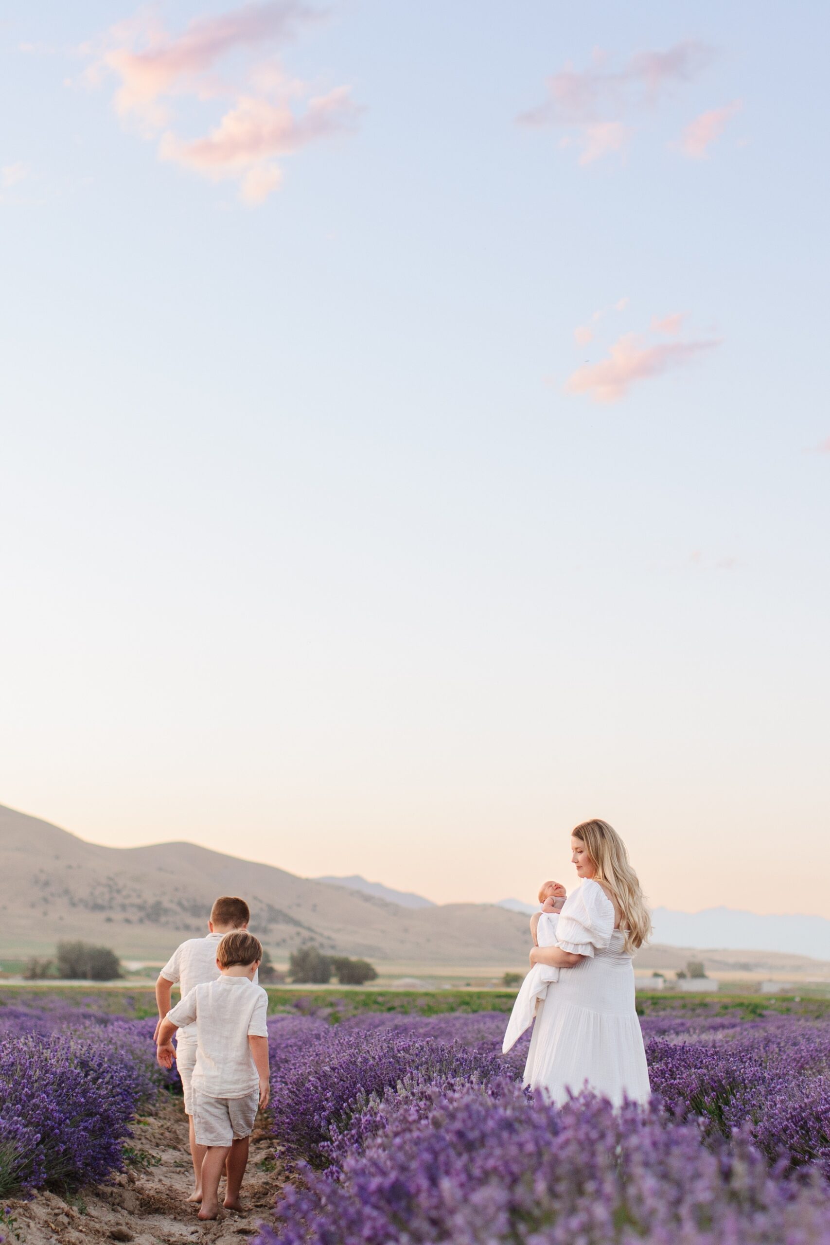 Mona Lavender Farm | Summer photos in Utah County - Mary Horne Nelson